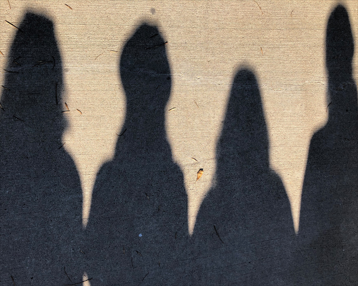 Transfer Student Services - Century College