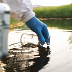 Programs & Degrees - Century College